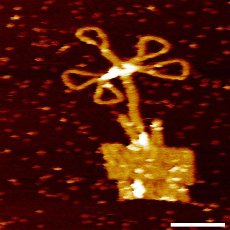 Interdisciplinary Nanoscience Center Aarhus University On Linkedin