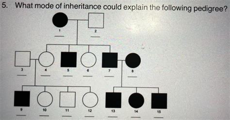 Solved What Mode Of Inheritance Could Explain The Following