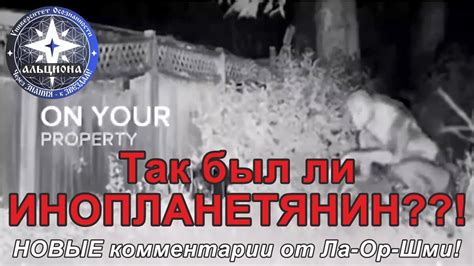 👉 ПРОДОЛЖЕНИЕ так БЫЛ ли ИНОПЛАНЕТЯНИН на видео из Лас Вегаса НОВАЯ