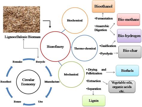 Different Routes Of Formation Of Value Added Products From
