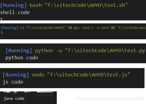 Visual Studio Code 配置runcode 源码巴士