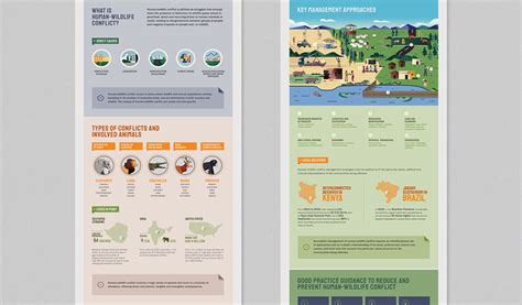 Fao Wildlife Infographic Illustration On Behance
