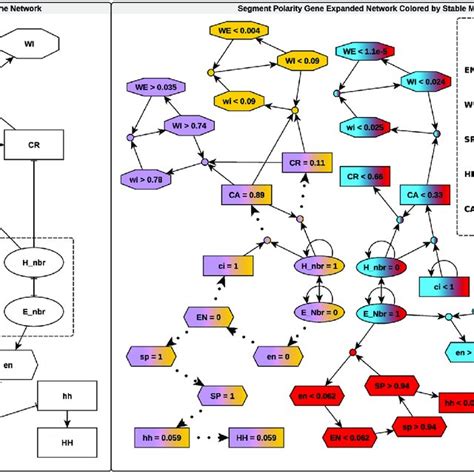 Feed Forward Loop Ffl And Bi Fan Bf Motif Structures Download