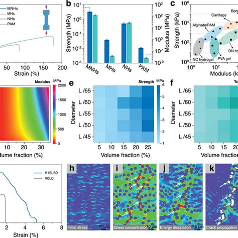 Pdf Bioinspired Hierarchical Hydrogels Engineered With Extreme Impact Resistance