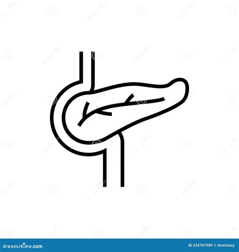 Pancreas Icon In Cartoon Style On White Background Organs Symbol Stock