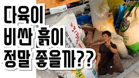 다육이 흙 중요하지요 알고 씁시다 YouTube