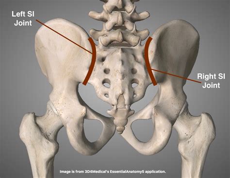 Joint Mobilization Techniques For Sacroiliac Joint Dy