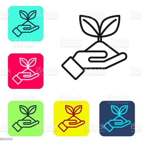 흰색 배경에 고립 된 환경 보호 아이콘의 손에 검은 라인 식물 종묘와 묘목 묘목을 심는다 생태 개념 색상 정사각형 단추로