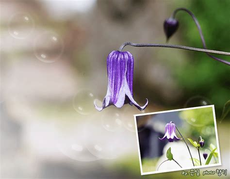 늘 그대 곁으로