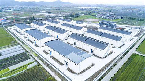 余姚市第三中心粮库新建工程项目 浙江巨兴建筑安装工程有限公司