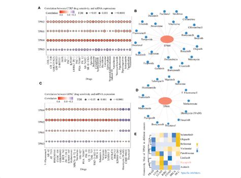 Drug Sensitivity Of TPM4 Related Drugs In Pan Cancer Tissues A