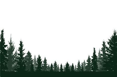 Bäume Wald Natur Kostenloses Bild Auf Pixabay Pixabay