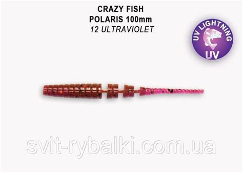 Купить Polaris 4" плаваючі, цена 70 ₴ — Prom.ua (ID#1728840407)