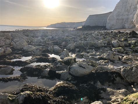 Sussex Kelp Recovery Project — Sussex Bay