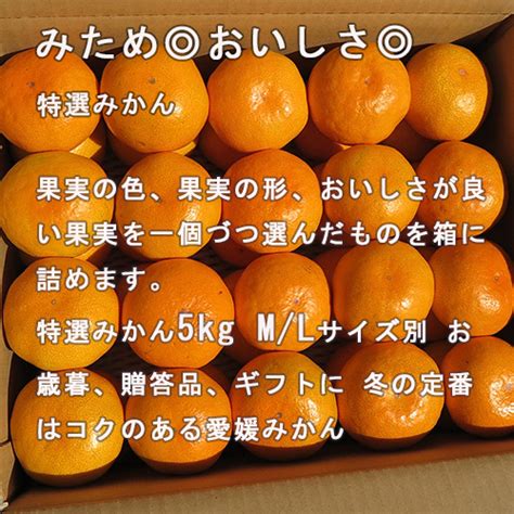 みかん 5kg【秀品】中玉 Mlサイズ別 みため〇おいしさ 【送料無料】※北海道・沖縄は除く 清家ばんかんビレッジ