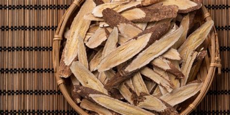 Shield Your Immune System This Winter With A Yellow Root