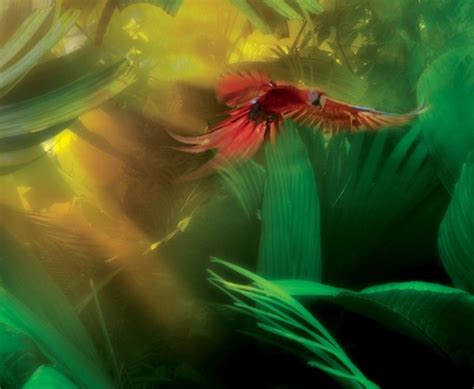 Interview De Jéromine Pasteur à Loccasion De La Sortie De Femmes