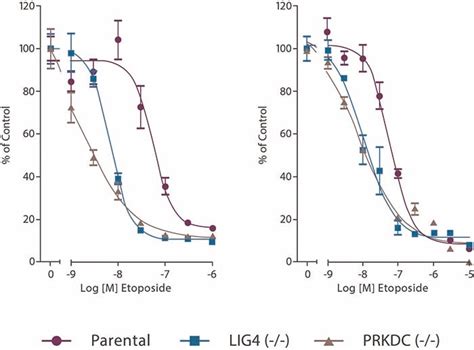 Synthetic Lethality