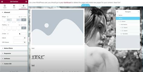 Elementor Motion Effects Tutorial Website Design Melbourne Wordpress
