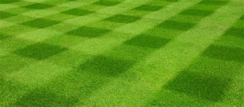 How To Mow Your Lawn 5 Different Patterns Simplify Gardening