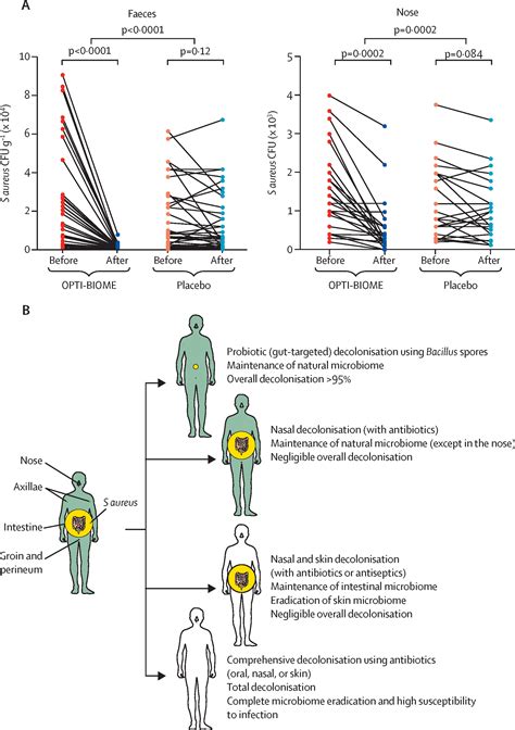 Probiotic For Pathogen Specific Staphylococcus Aureus Decolonisation In Thailand A Phase 2