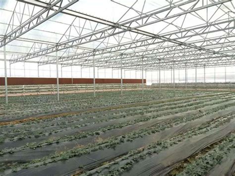 智能型温室大棚的六个特点 公司新闻 新闻中心 河南奥农苑温室工程有限公司