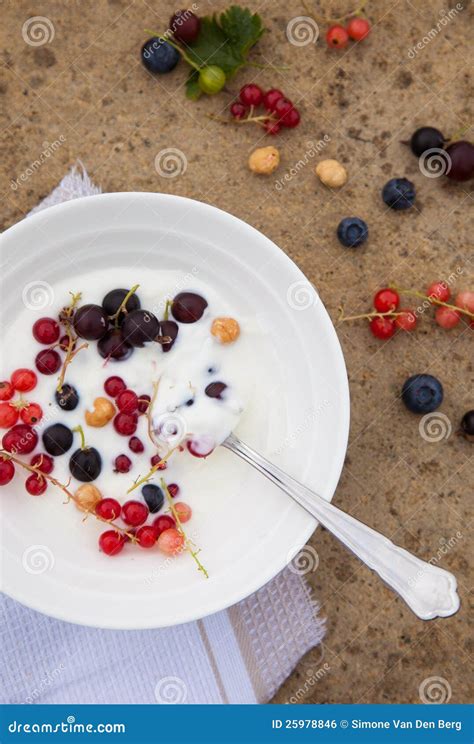 Yogurt Breakfast Stock Photo Image Of Breakfast Healthy
