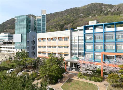 고신대학교산학협력단 기업정보 채용 0건 평균연봉 3 734만원 인원 59명 업력 16년 부산 영도구 원티드