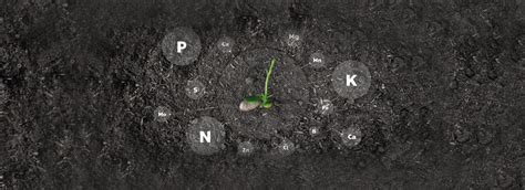 Comment Choisir Le Meilleur Engrais Npk Pour Votre Jardin