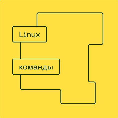 Основные команды Linux для новичков полное руководство по работе с терминалом и горячим клавишам