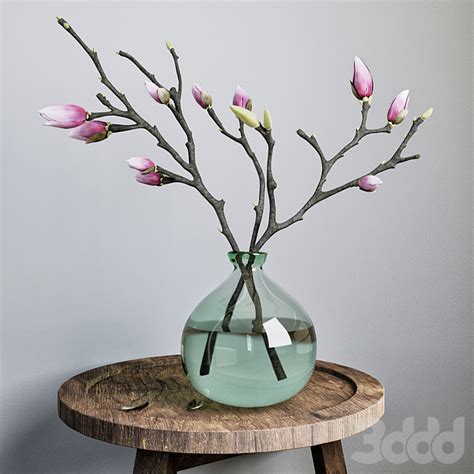 Ветки магнолии (Magnolia) - Букеты - 3D модель