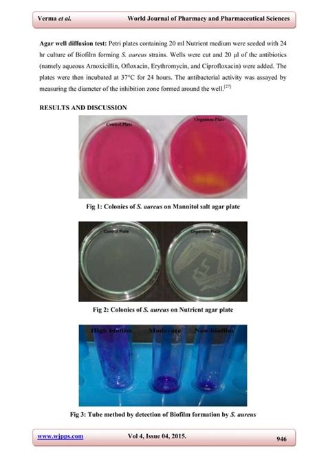 Clinical Distribution Of Biofilm Forming Staphylococcus Aureus And Its Sensitivity Against Some