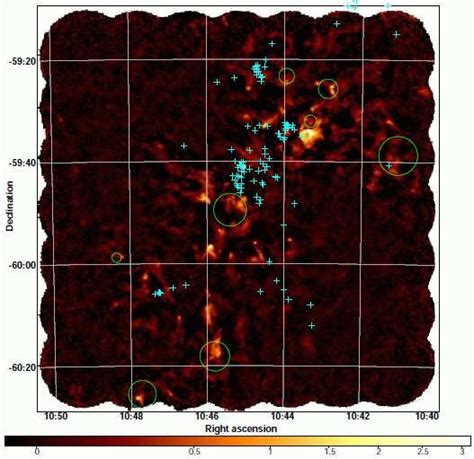 false color representation of the widefield laboca map of the carina