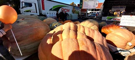 Pompkin Day Kasterlee 2022 2000seeds