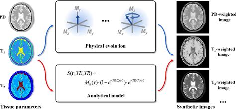 Figure 1 From Physics Driven Synthetic Data Learning For Biomedical