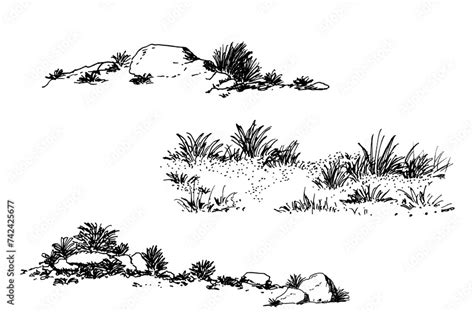 Minimal Sketch Style Cad Tree Stone Line Drawing Side View Set Of Graphics Trees Elements