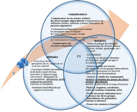 Compétence interculturelle adaptation dun Modè Revue des sciences