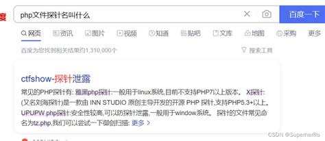 ctfshow系列 web16 信息收集 php探针泄露 csdn博客