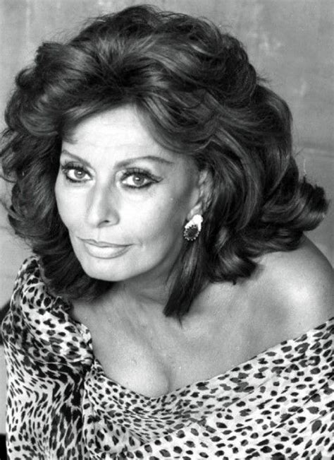 Sophia Loren Beautiful Sophia Loren Sofia Loren Sophia