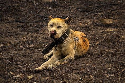 재난의 아픔에도 우린 숨죽입니다 하소연도 못하기에··· 하상윤의 멈칫