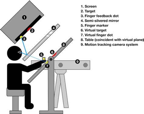 The Experimental Apparatus Used For The Prism Adaptation Protocol Hand Download Scientific