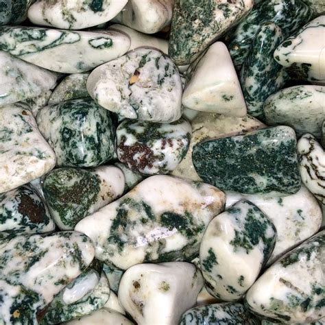 Tree Agate Crystalis Crystals Shop