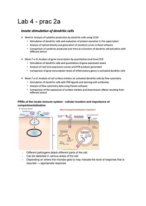 TECH Module 2 Lecture And Practical Summary Notes With FlowJo Guide