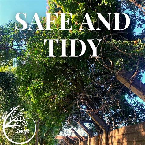 Overgrown Bushes Can Pose A Security Swift Tree Felling