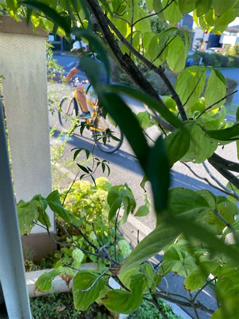 という事で 原田龍二の嫁オフィシャルブログ Powered By Ameba