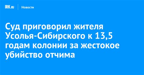 Суд приговорил жителя Усолья Сибирского к 13 5 годам колонии за жестокое убийство отчима