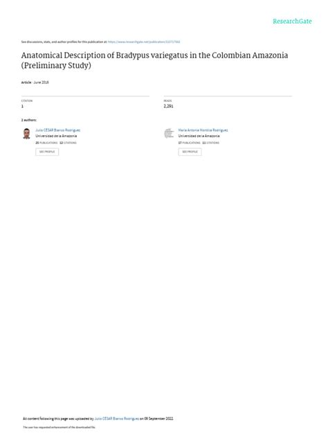 Bradypus Pdf Vértebra Cráneo