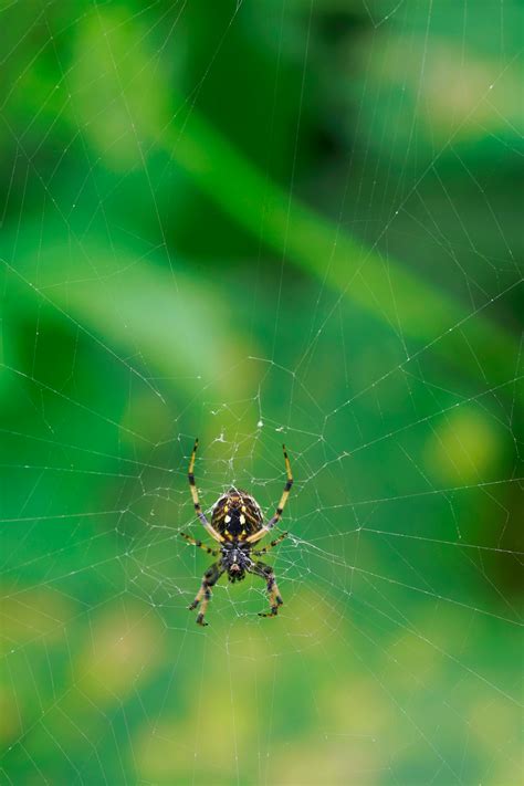 Devops Cover Photo For Linkedin Photos Download The Best Free Devops Cover Photo For Linkedin