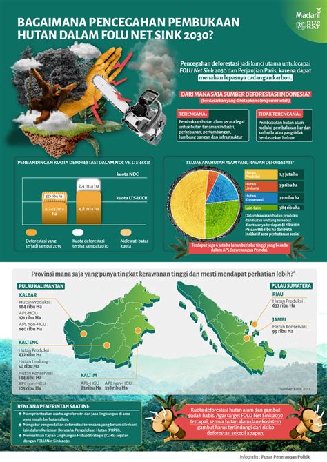 How To Prevent Forest Clearing In FOLU Net Sink 2030 Madani