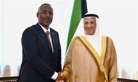 وزير الخارجية يلتقي نظيره في الصومال على هامش الاجتماع الوزاري التحضيري